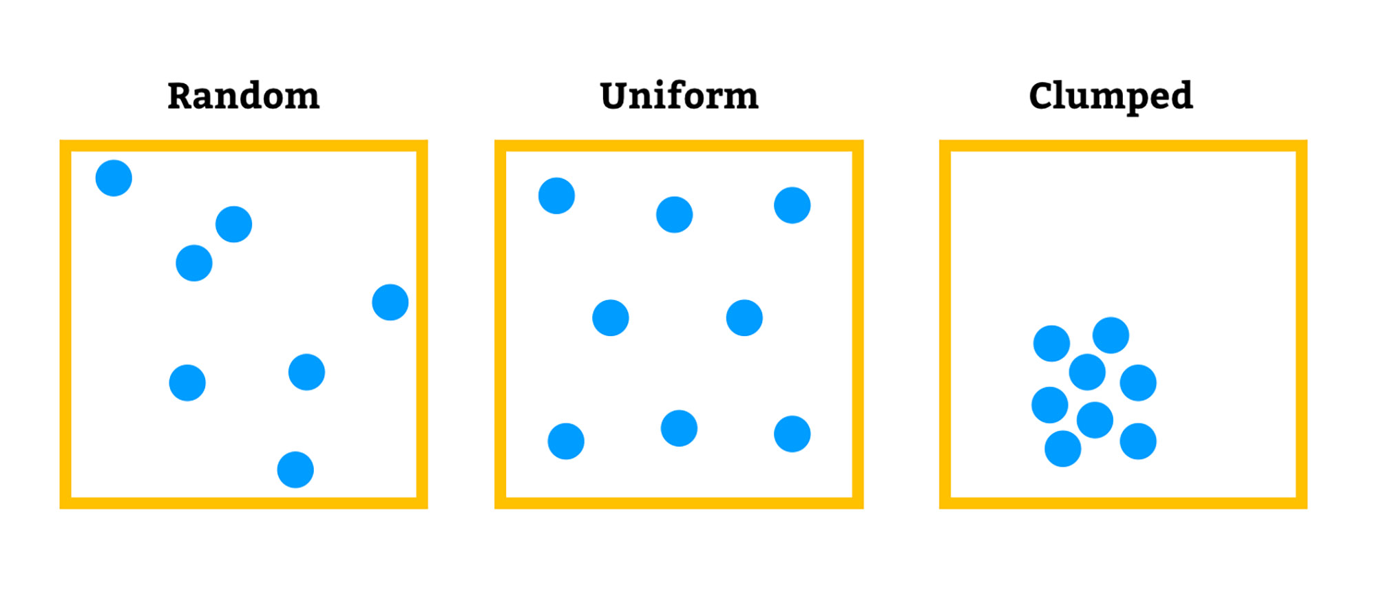 Population Dispersion Patterns